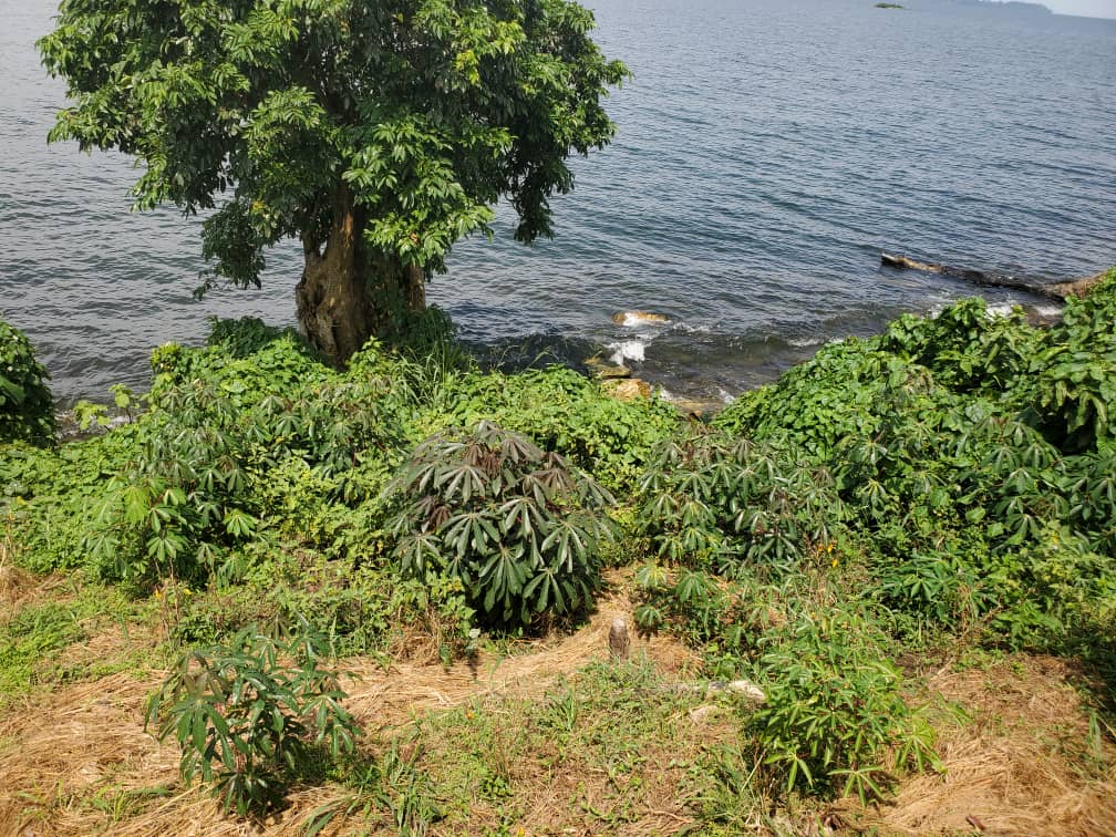 16 Acre Land For Sale In Bukunja - Aderok Real Estates Uganda